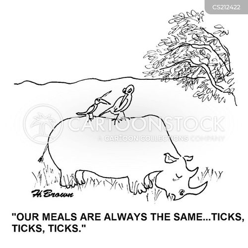 Hornbill Cartoons and Comics - funny pictures from CartoonStock