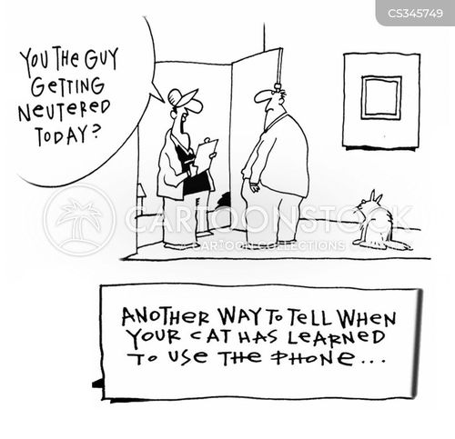 Cat Neutering Cartoons and Comics - funny pictures from CartoonStock