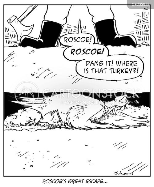 Turkey Farmer Cartoons and Comics - funny pictures from CartoonStock