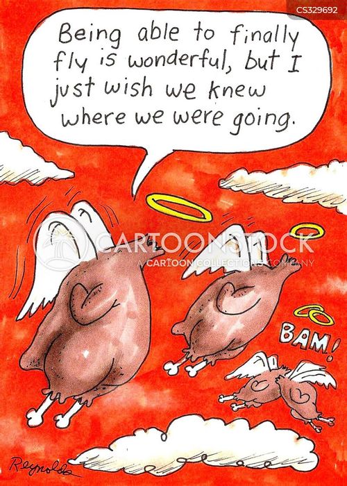 Fly's Cartoons and Comics - funny pictures from CartoonStock