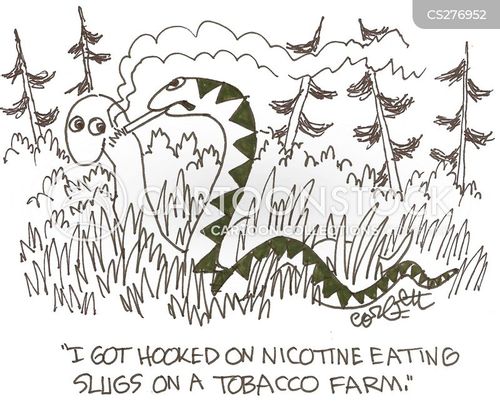Tobacco Addiction Cartoons and Comics - funny pictures from CartoonStock
