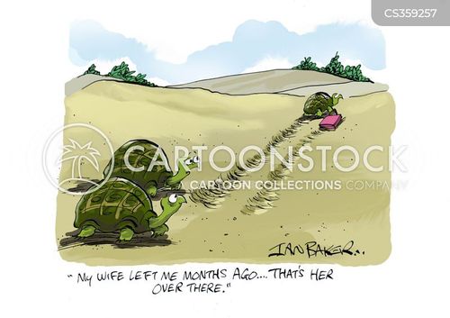 Tortoise Owner Cartoons and Comics - funny pictures from CartoonStock