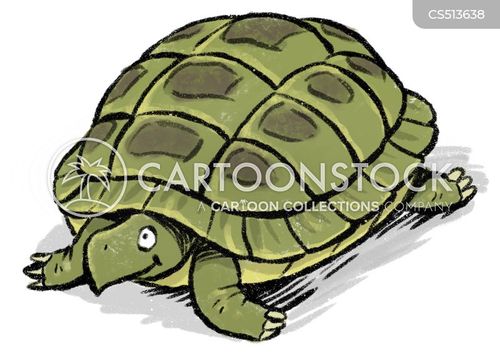 Hard Shell Cartoons and Comics - funny pictures from CartoonStock