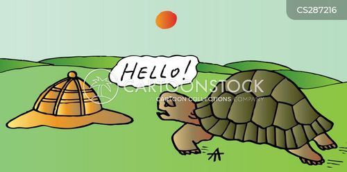 Tortoise Shell Cartoons and Comics - funny pictures from CartoonStock
