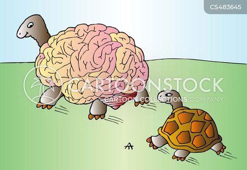 Turtle Power Cartoons and Comics - funny pictures from CartoonStock