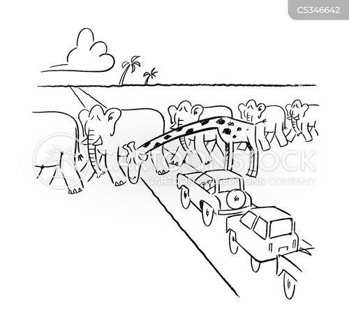 Heavy Traffic Cartoons and Comics - funny pictures from CartoonStock