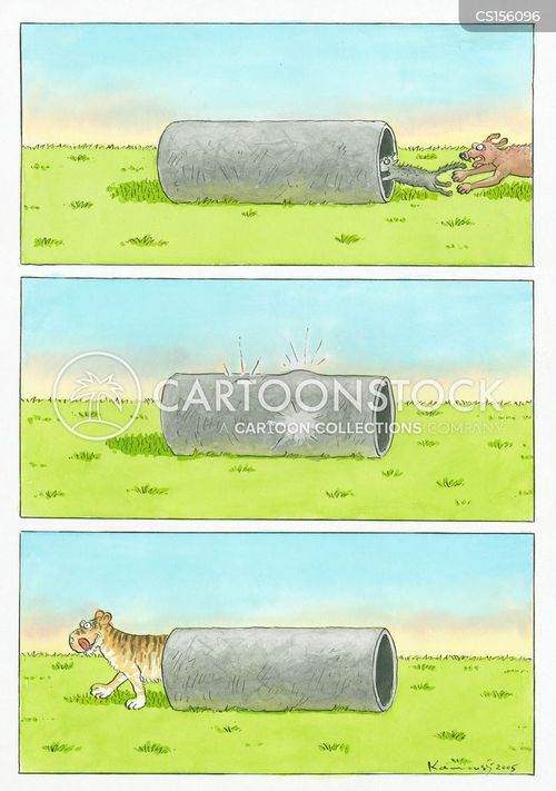 Chasing Birds Cartoons and Comics - funny pictures from CartoonStock