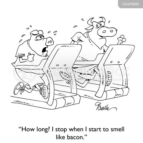 Cows Exercising Cartoons and Comics - funny pictures from CartoonStock
