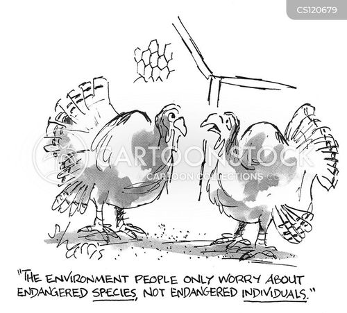 Land Acknowledgement Cartoons and Comics - funny pictures from CartoonStock