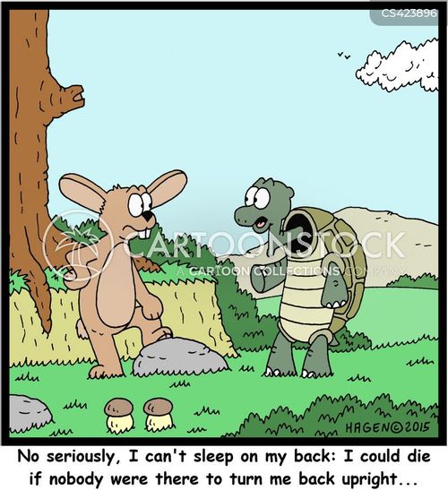 Hard Shell Cartoons and Comics - funny pictures from CartoonStock