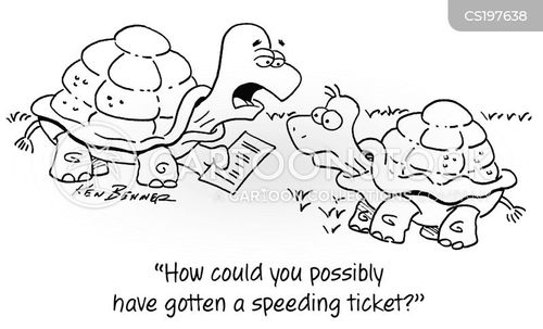 Turtle Cartoons and Comics - funny pictures from CartoonStock