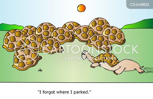 Tortoise Without Shell