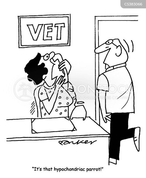 Sick As A Parrot Cartoons and Comics - funny pictures from CartoonStock