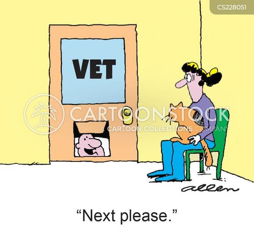 Cat Door Cartoons and Comics - funny pictures from CartoonStock
