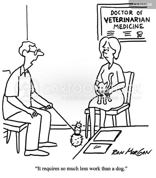Veterinarian Medicine Cartoons and Comics - funny pictures from ...