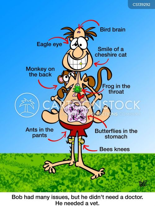 Bird Brain Cartoons and Comics - funny pictures from CartoonStock