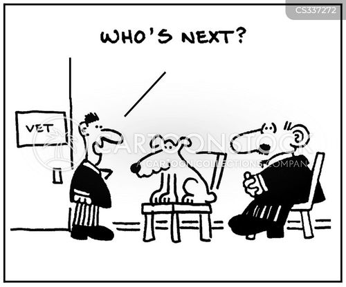 Veterinary Surgery Cartoons and Comics - funny pictures from CartoonStock