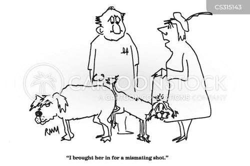 Tnr (trap-neuter-release) Cartoons and Comics - funny pictures from ...