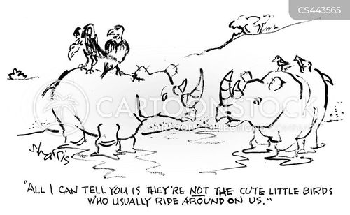 Oxpecker Cartoons and Comics - funny pictures from CartoonStock