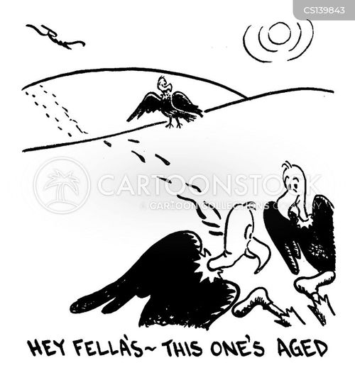 Carrion Flies Cartoons and Comics - funny pictures from CartoonStock