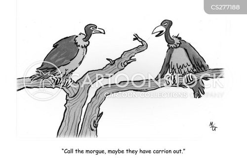 Raw Meat Cartoons and Comics - funny pictures from CartoonStock