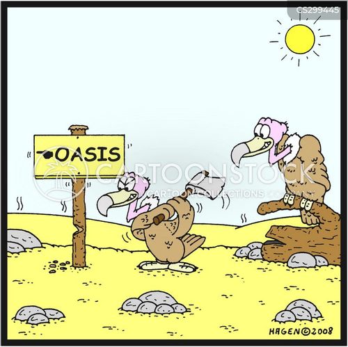 Dashed Hope Cartoons and Comics - funny pictures from CartoonStock