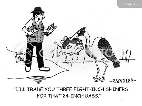 Wading Birds Cartoons and Comics - funny pictures from CartoonStock