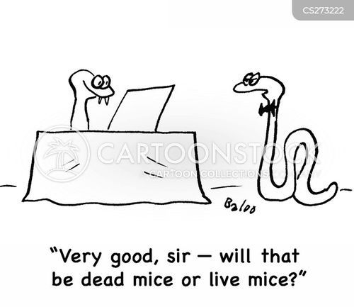 Live Mic Cartoons and Comics - funny pictures from CartoonStock