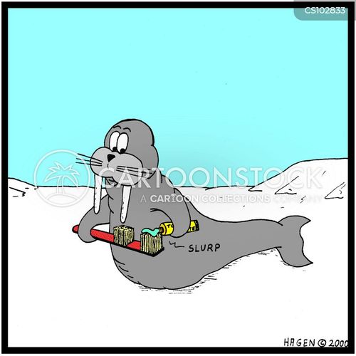 Walrus Cartoons and Comics - funny pictures from CartoonStock