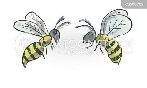 Wasp Cartoons and Comics - funny pictures from CartoonStock