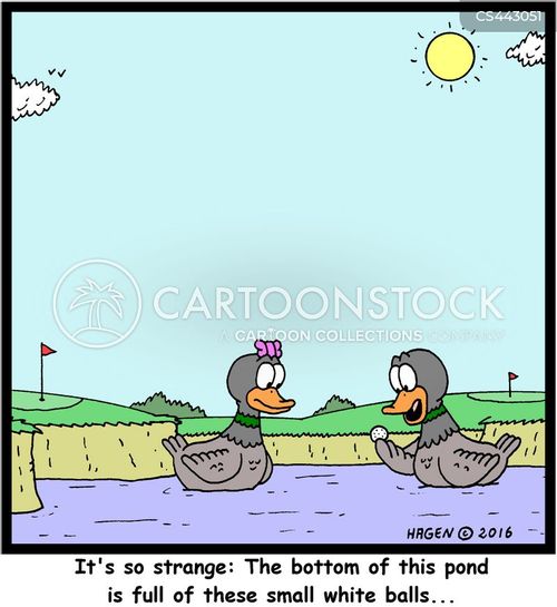 Goldfish Pond Cartoons and Comics - funny pictures from CartoonStock