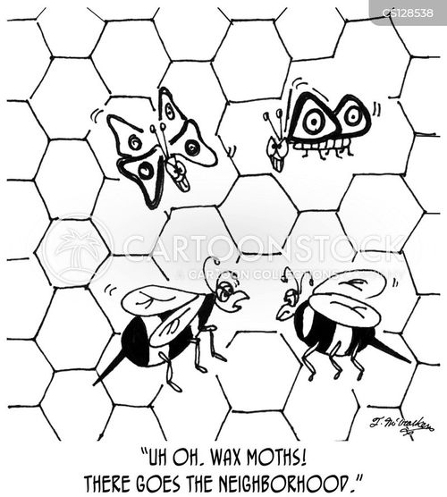 Wax Moth Cartoons and Comics - funny pictures from CartoonStock