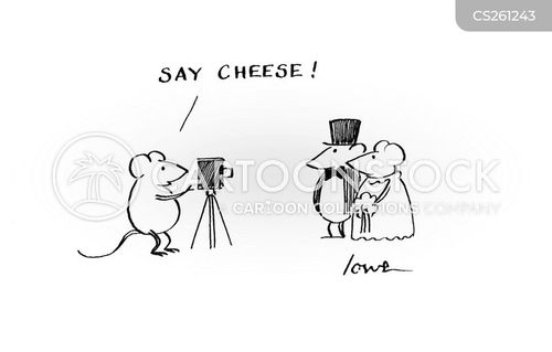 Wedding Photographer Cartoons and Comics - funny pictures from CartoonStock