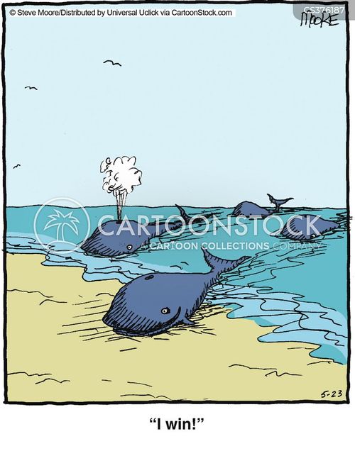 Beached Cartoons and Comics - funny pictures from CartoonStock