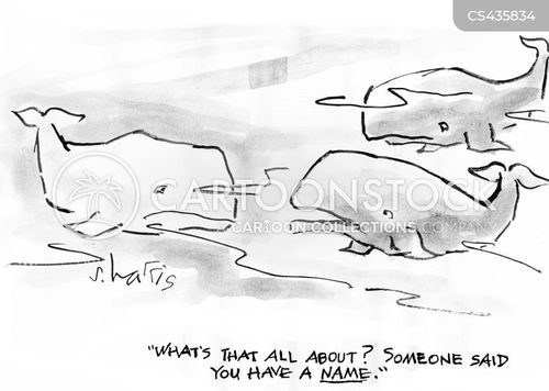 Killer Whale Cartoons and Comics - funny pictures from CartoonStock