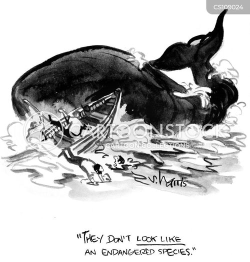 Save The Whales Cartoons and Comics - funny pictures from CartoonStock
