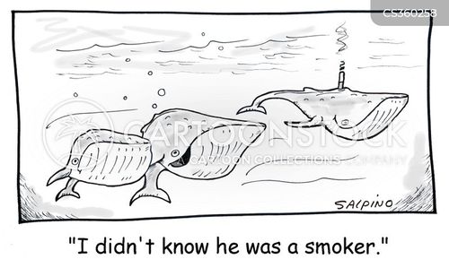 Blowhole Cartoons and Comics - funny pictures from CartoonStock