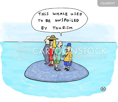Whale Spotter Cartoons and Comics - funny pictures from CartoonStock