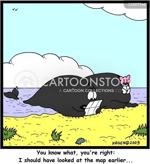 Beached Cartoons and Comics - funny pictures from CartoonStock