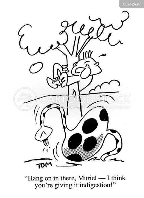 Indigestion Cartoons and Comics - funny pictures from CartoonStock