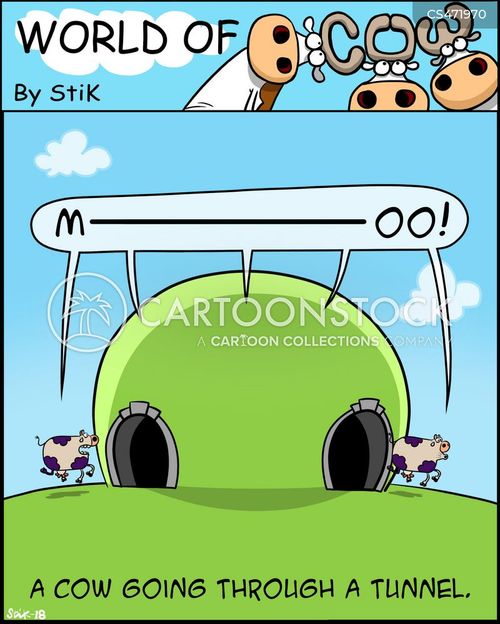 World Of Cow Cartoons and Comics - funny pictures from CartoonStock