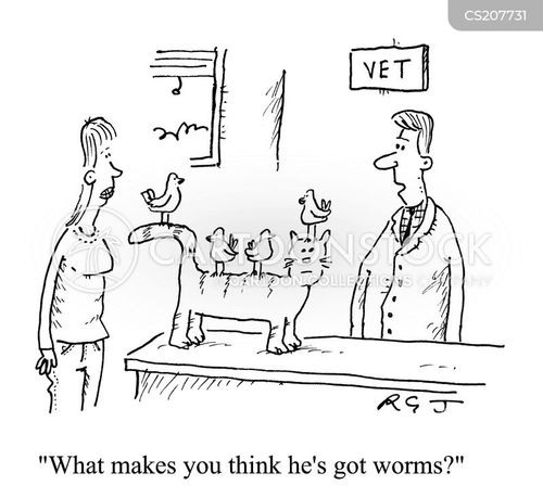 Veterinary Practises Cartoons and Comics - funny pictures from CartoonStock