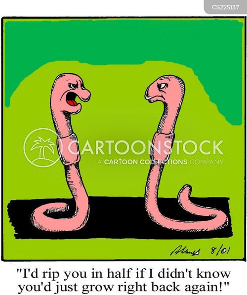 Cutting Up Worms Cartoons and Comics - funny pictures from CartoonStock