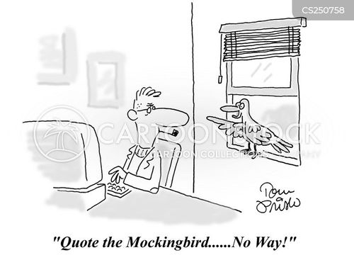 Mockingbird Cartoons and Comics - funny pictures from CartoonStock