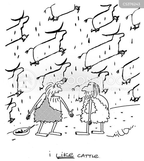 Cattle Cartoons and Comics - funny pictures from CartoonStock