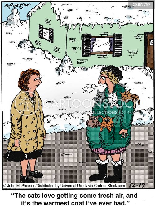 Cat Lady Cartoons and Comics - funny pictures from CartoonStock