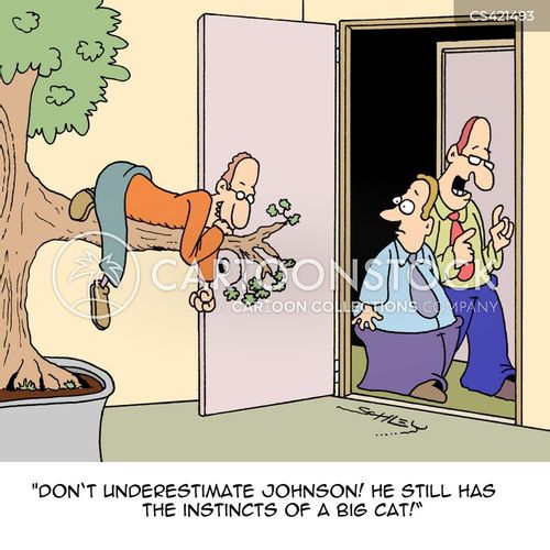 Feline Instincts Cartoons and Comics - funny pictures from CartoonStock