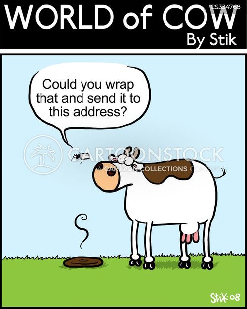 World Of Cow Cartoons and Comics - funny pictures from CartoonStock