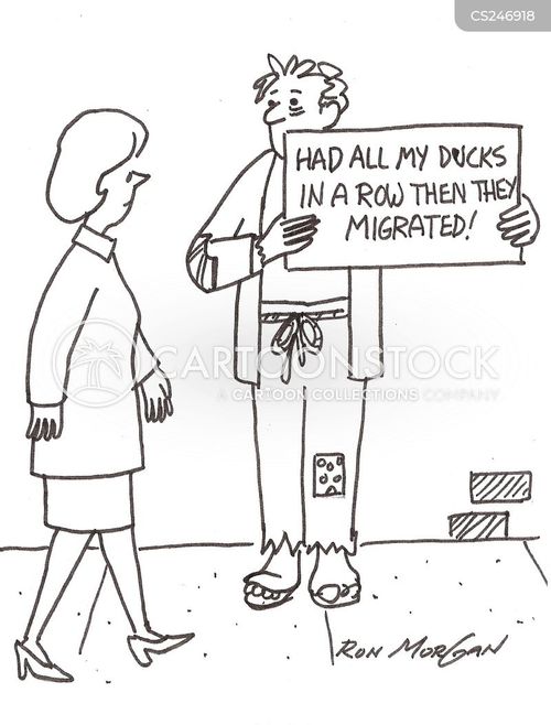 Ducks In A Row Cartoons and Comics - funny pictures from CartoonStock