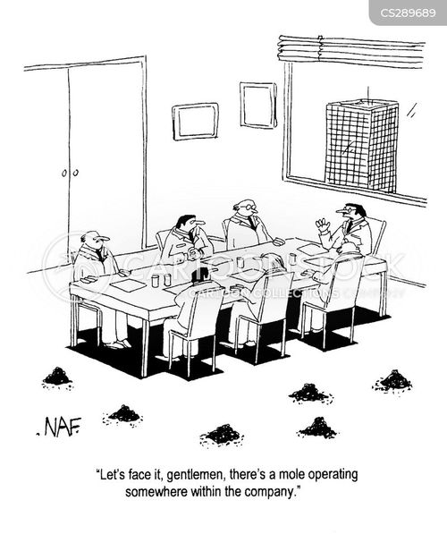 Managing Director Cartoons and Comics - funny pictures from CartoonStock